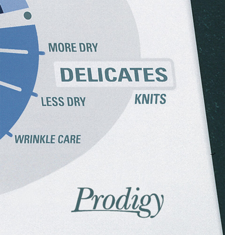 Buy GE Profile Prodigy Super 7.0 Cu. Ft. Capacity Electric Dryer ...